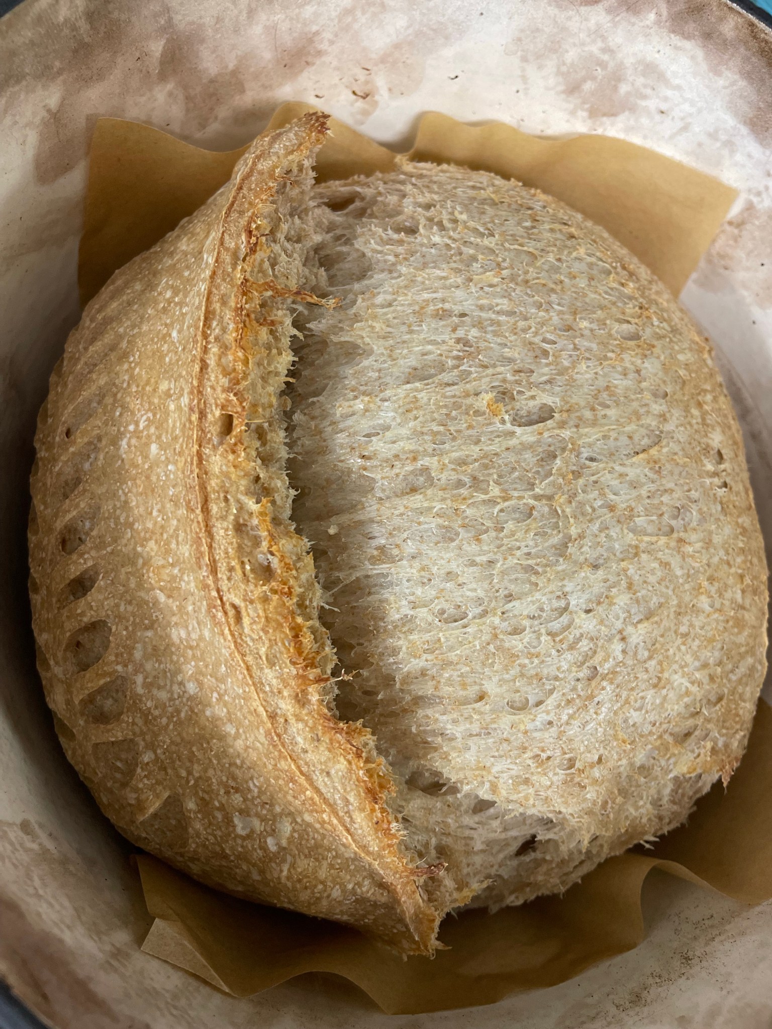 Whole Wheat Sourdough Crusty Loaf – Over Easy Homestead