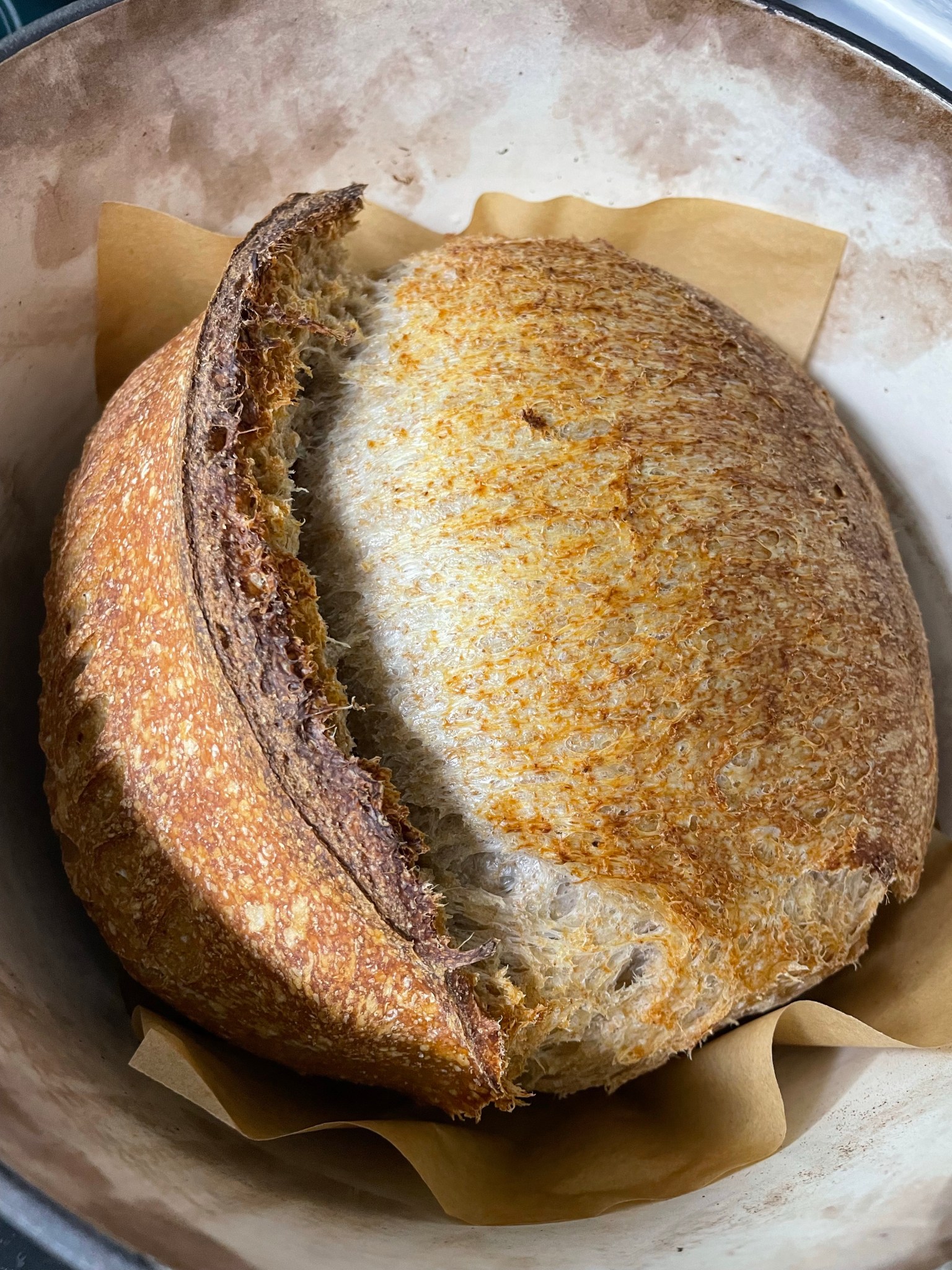 Whole Wheat Sourdough Crusty Loaf – Over Easy Homestead