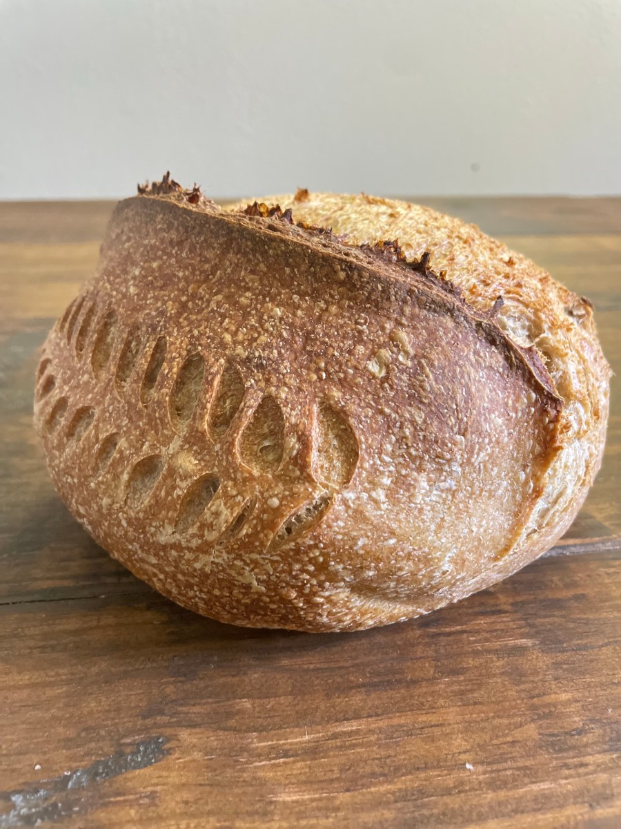 Whole Wheat Sourdough Crusty Loaf – Over Easy Homestead