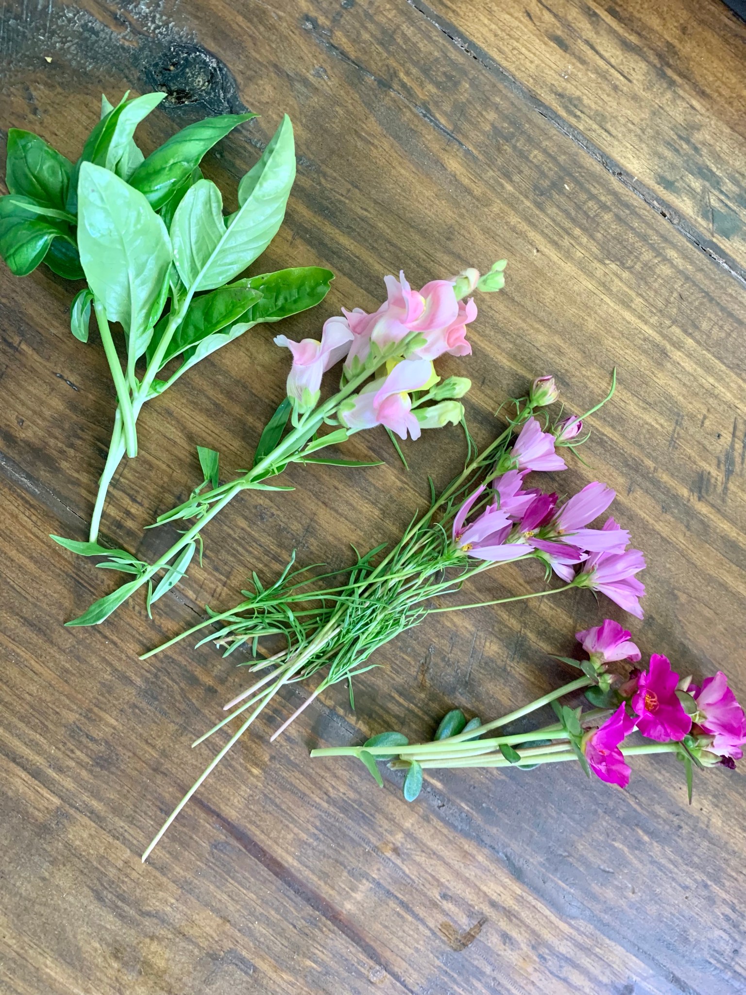 Simple Cut Flower Garden for Beginners – Over Easy Homestead