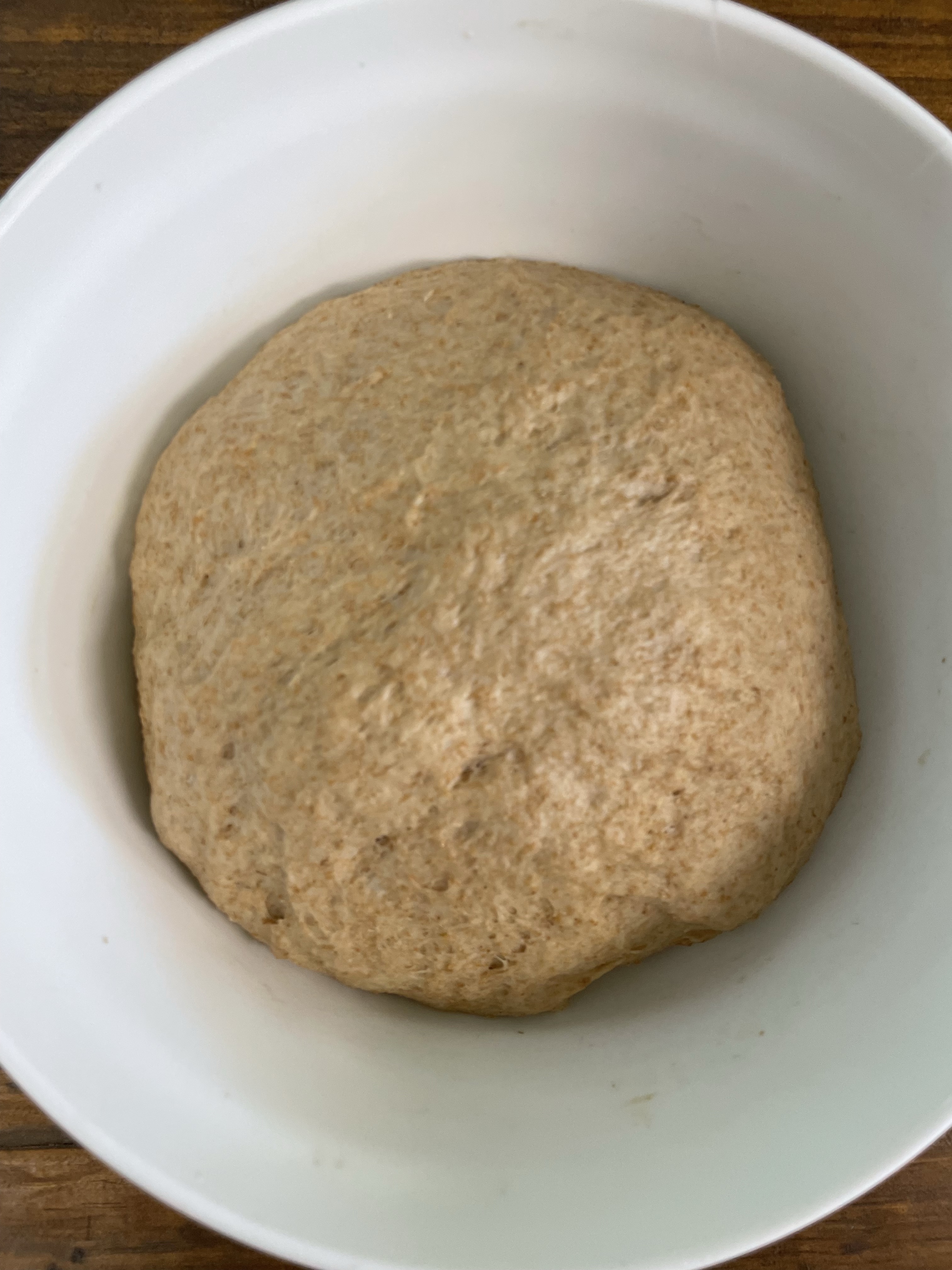 Honey Wheat Sourdough Discard Sandwich Bread – Over Easy Homestead
